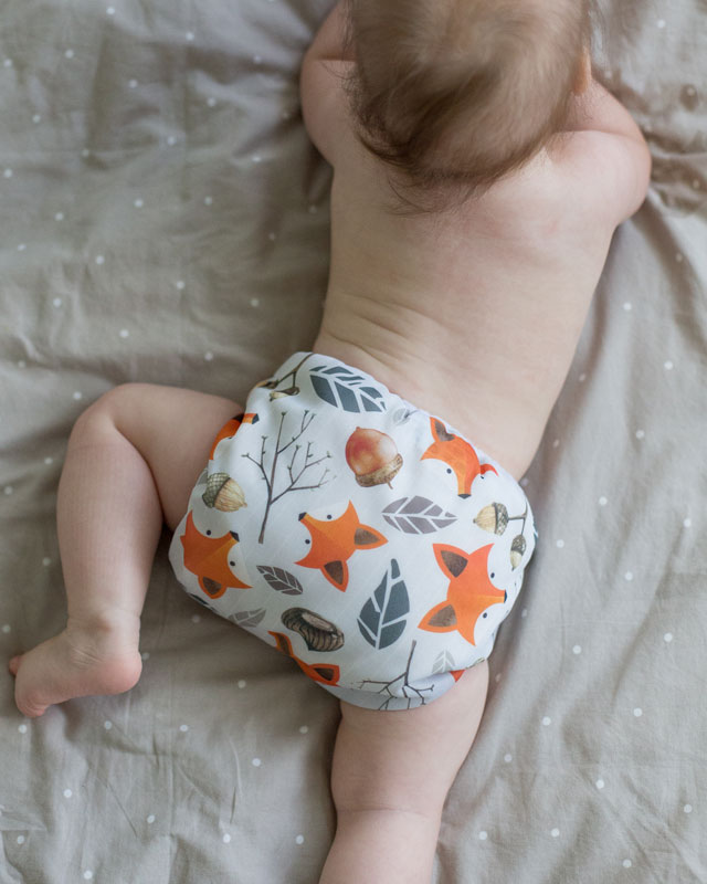 The Nappy Lady: UK Leading Reusable Nappy Expert:Cloth Nappy