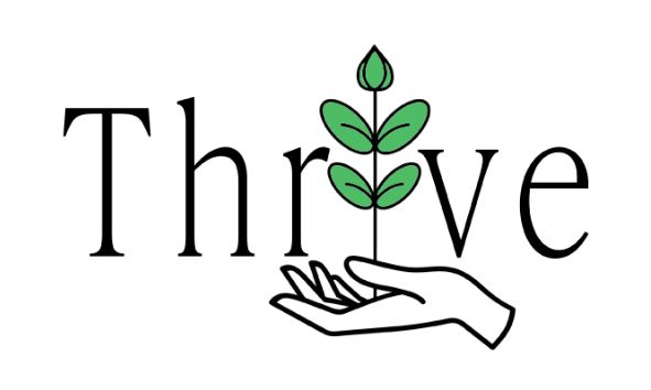 Menstrual Disc Collapsible Steriliser by Thrive:Nappy Lady