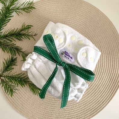 Nappy Lady: The UK's Largest Range of Reusable Nappies