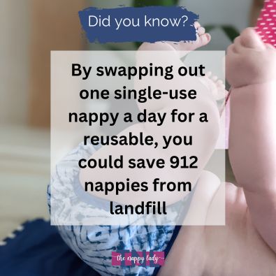 Swap Just One Disposable Nappy A Day Saves Waste - Nappy Lady