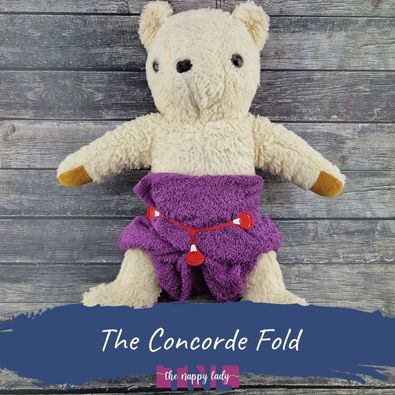 Concorde Fold - Terry Square Fold -The Nappy Lady