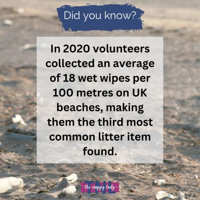 Wet Wipes Cause Beach Waste - The Facts - The Nappy Lady