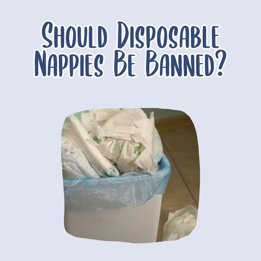 Should Disposable Nappies Be Banned?