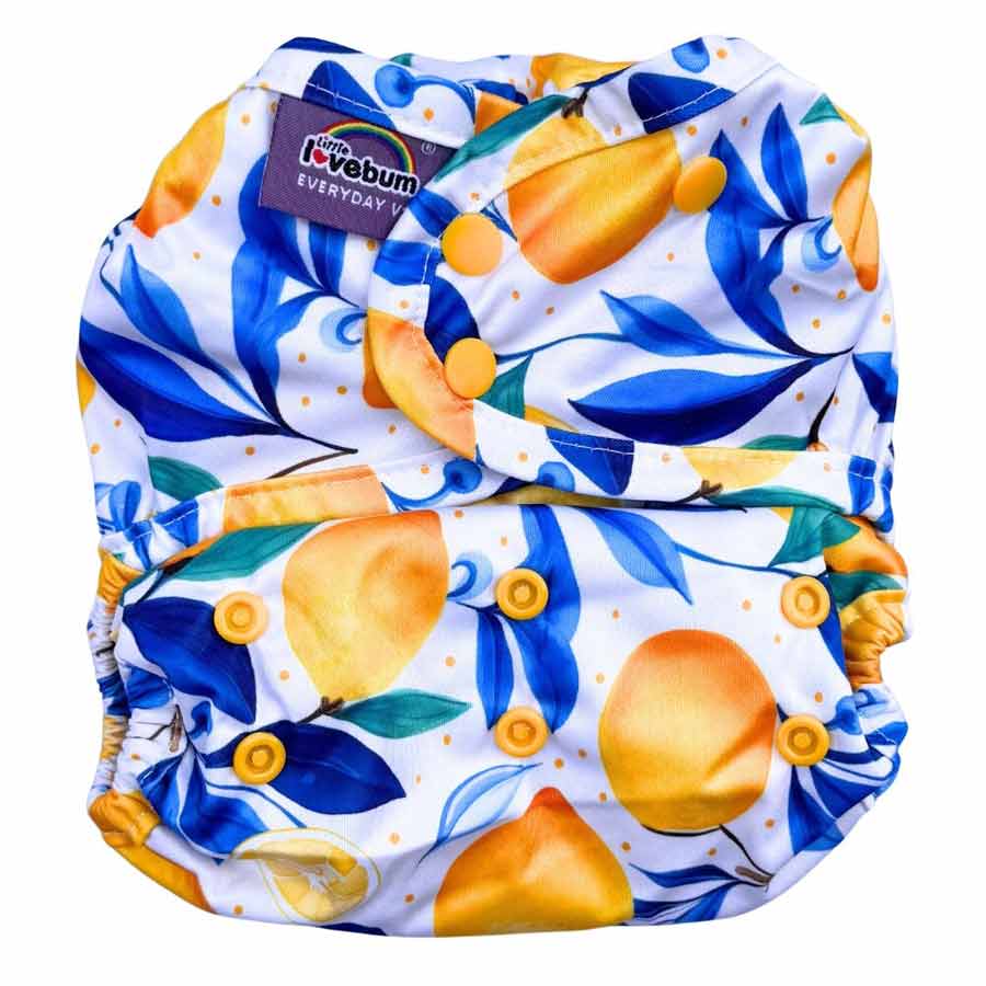 Little Lovebum Everyday Hemp & Bamboo All In One Nappy