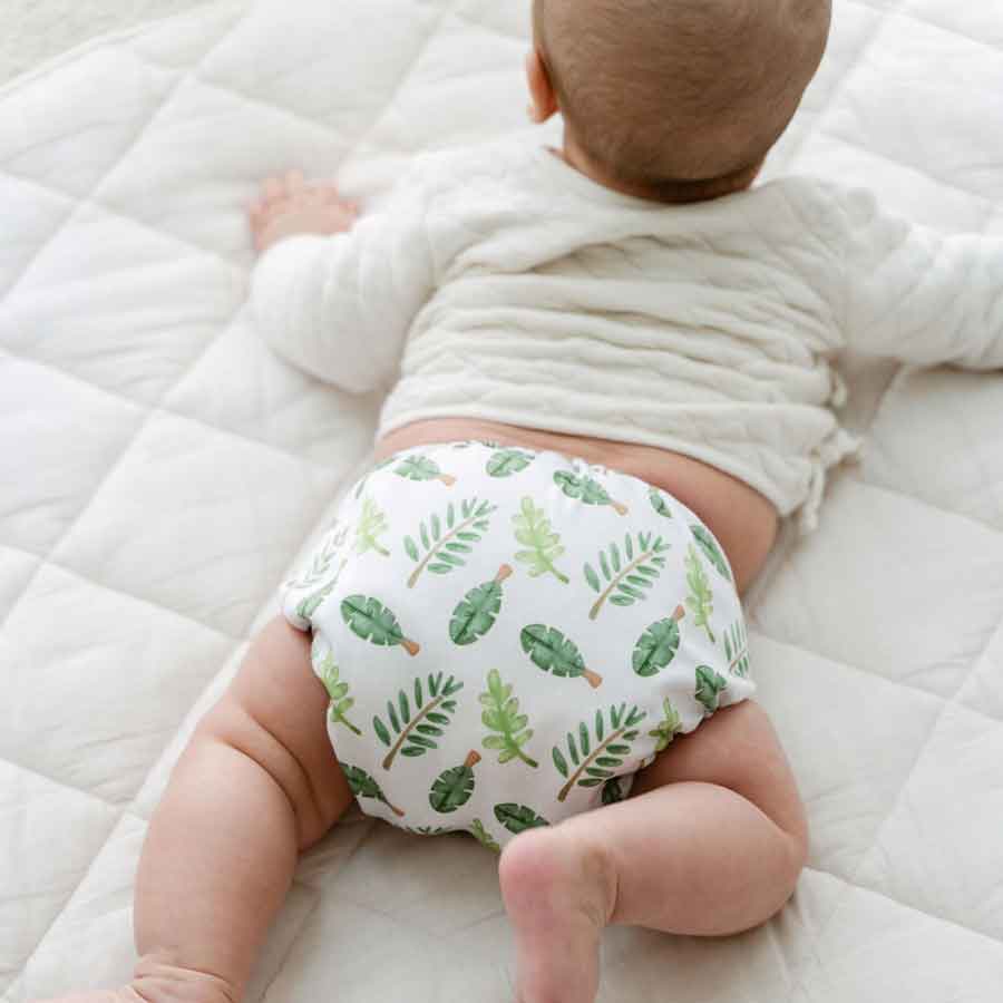 Bamboo Pocket Nappy Inserts By Thrive - Nappy Lady