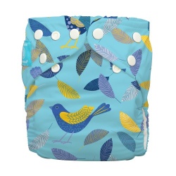 Shop Pocket Nappies